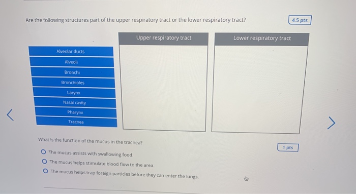 Solved Are the following structures part of the upper | Chegg.com