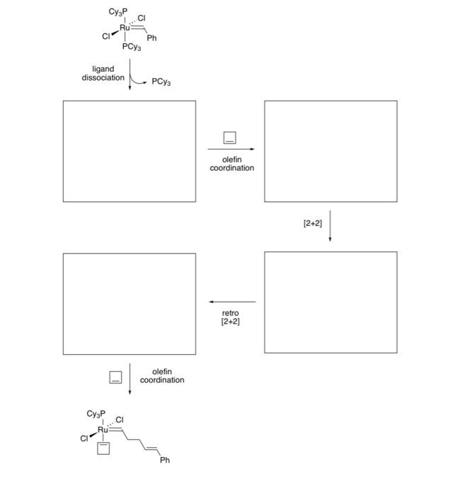 Solved for this ring opening polymerization catalytic cycle, | Chegg.com
