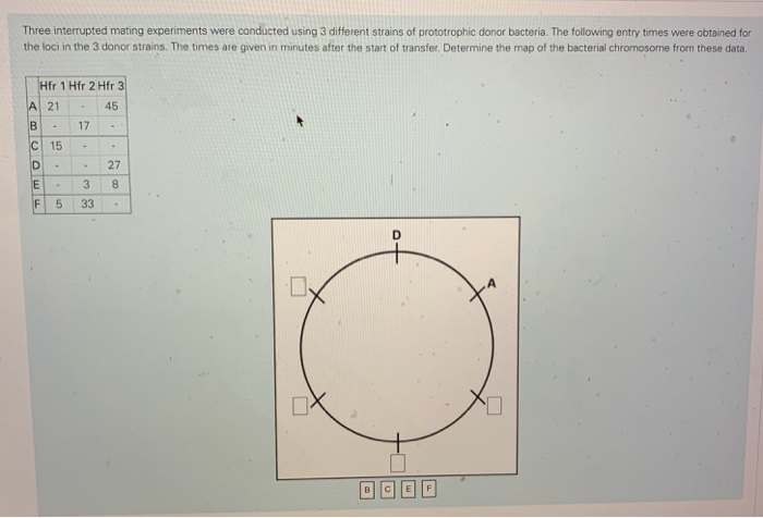 Solved Three interrupted mating experiments were conducted | Chegg.com