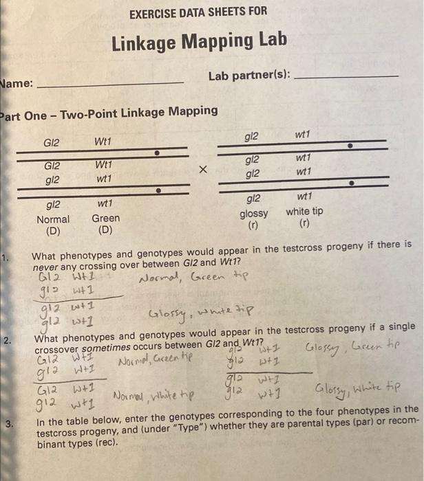 Solved 92 GENETICS LAB MANUAL 4. You will be given numbers | Chegg.com