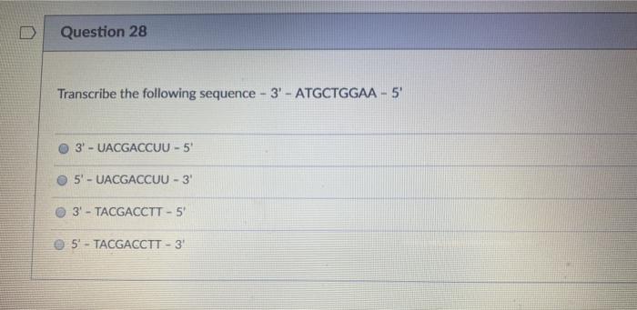 Solved Question 28 Transcribe the following sequence - 3' - | Chegg.com