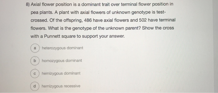 Solved 8) Axial flower position is a dominant trait over | Chegg.com