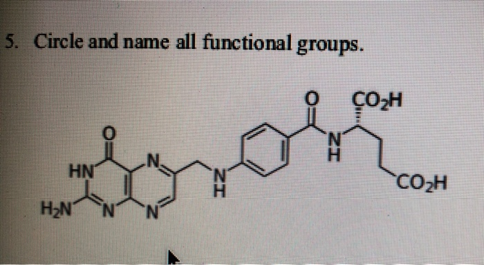 Solved 5. Circle and name all functional groups. o CO2H HN | Chegg.com