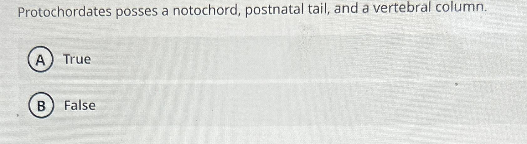 Solved Protochordates posses a notochord, postnatal tail, | Chegg.com