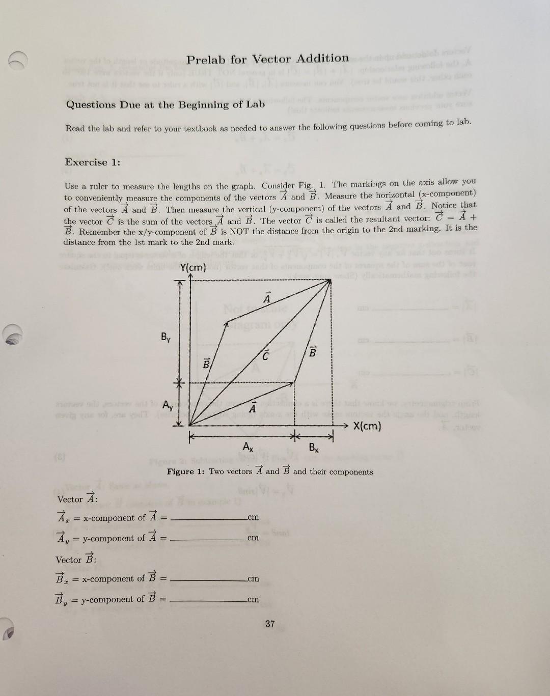 Solved Questions Due at the Beginning of Lab Read the lab | Chegg.com