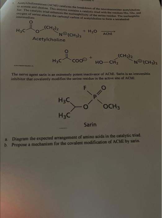 Solved 5. Acetylcholinesterase (AChE) catalyzes the | Chegg.com