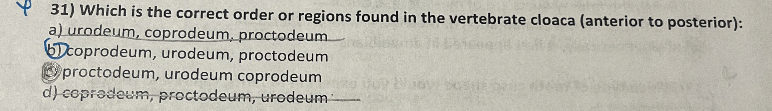 Solved Which is the correct order or regions found in the | Chegg.com