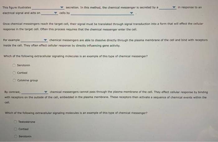 The following figures illustrate the four main types | Chegg.com