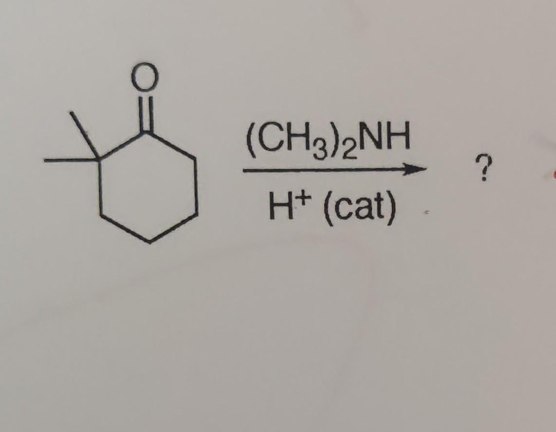 Solved H+(cat) (CH3)2NH ? | Chegg.com