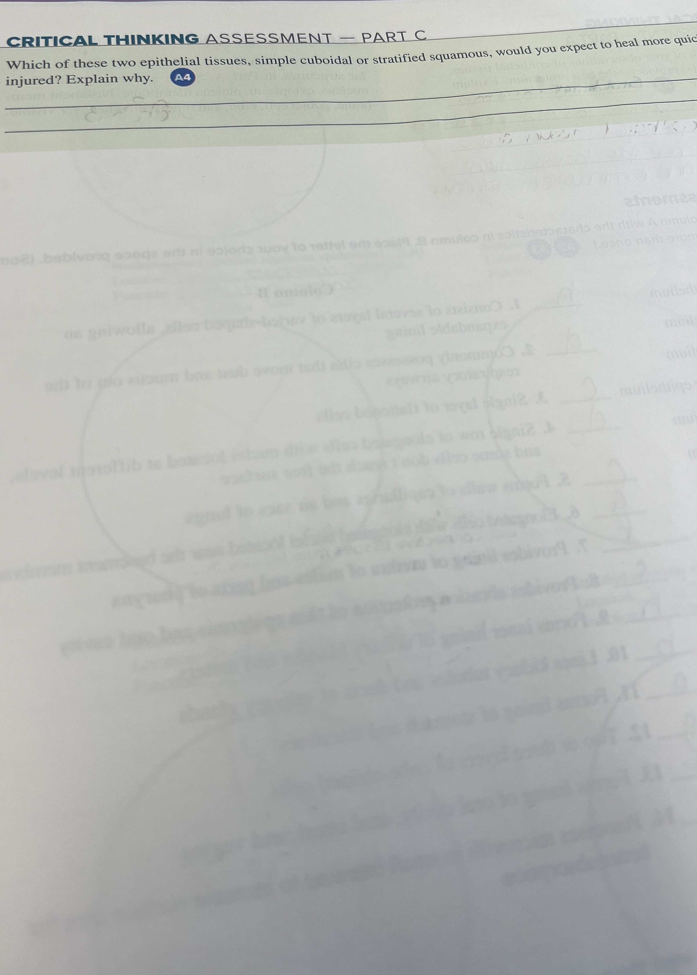 Solved CRITICAL THINKING ASSESSMENT - ﻿PART CWhich of these | Chegg.com