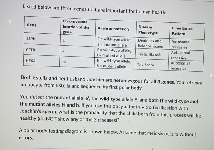 Listed below are three genes that are important for | Chegg.com