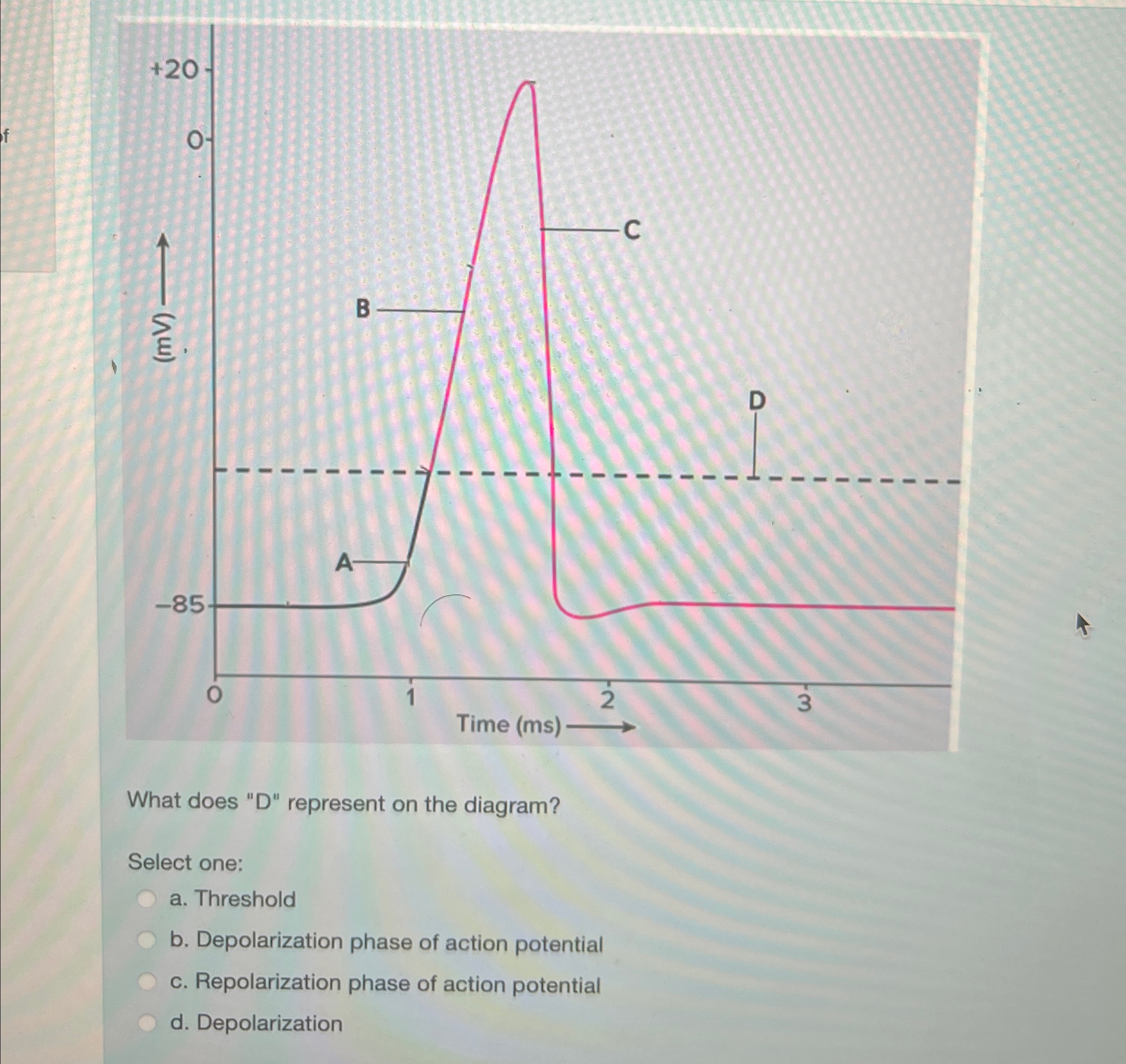 Solved What does "D" ﻿represent on the diagram?Select onea. | Chegg.com