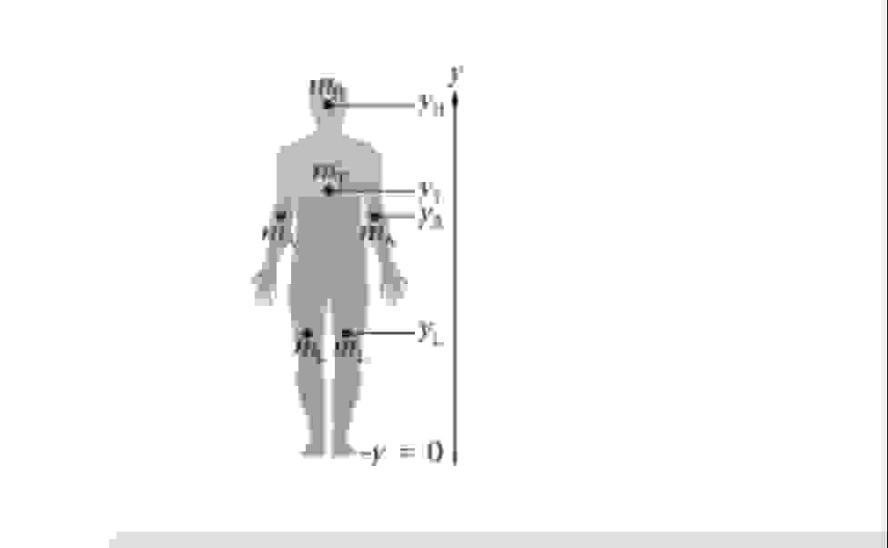 Solved Suppose the human body can be reduced to individual | Chegg.com
