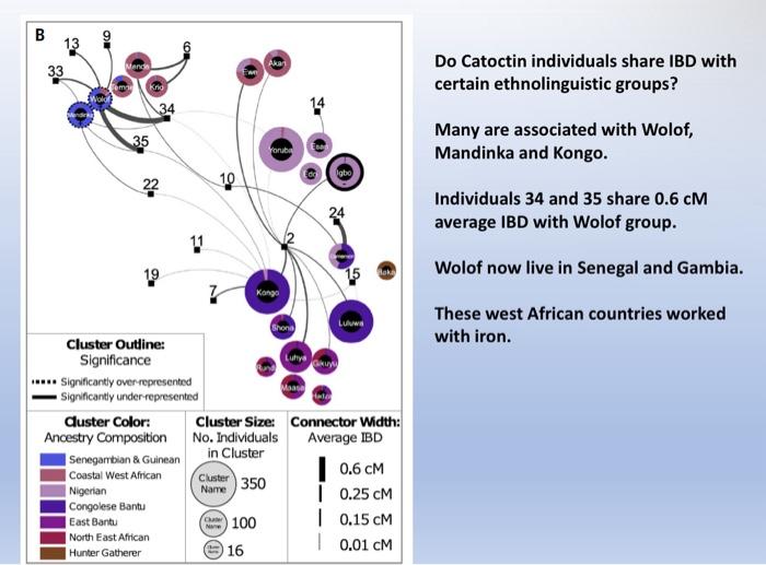 Solved 2. First, define Identity by Descent (IBD). Next look | Chegg.com