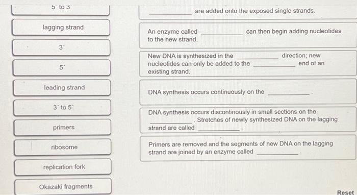 Solved Complete the sentences about the process of DNA | Chegg.com