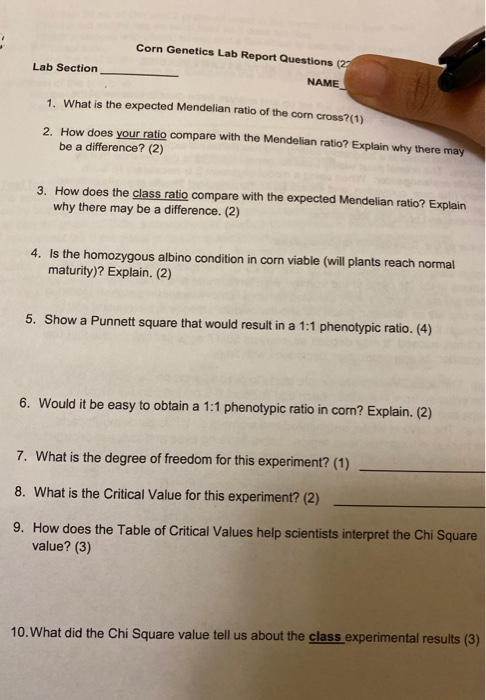 Corn Genetics Lab Report Questions (27 NAME Lab | Chegg.com Corn Genetics Lab Report Questions (27 NAME Lab | Chegg.com