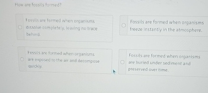 Solved How are fossils formed?Fossils are formed when | Chegg.com