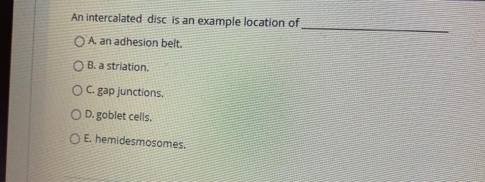 Solved An intercalated disc is an example location of A. an | Chegg.com