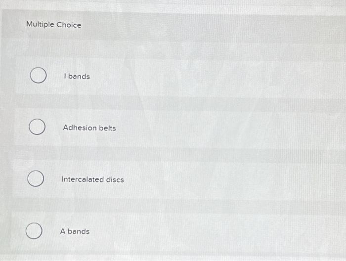 Solved Identifv the structures indicated bv the | Chegg.com
