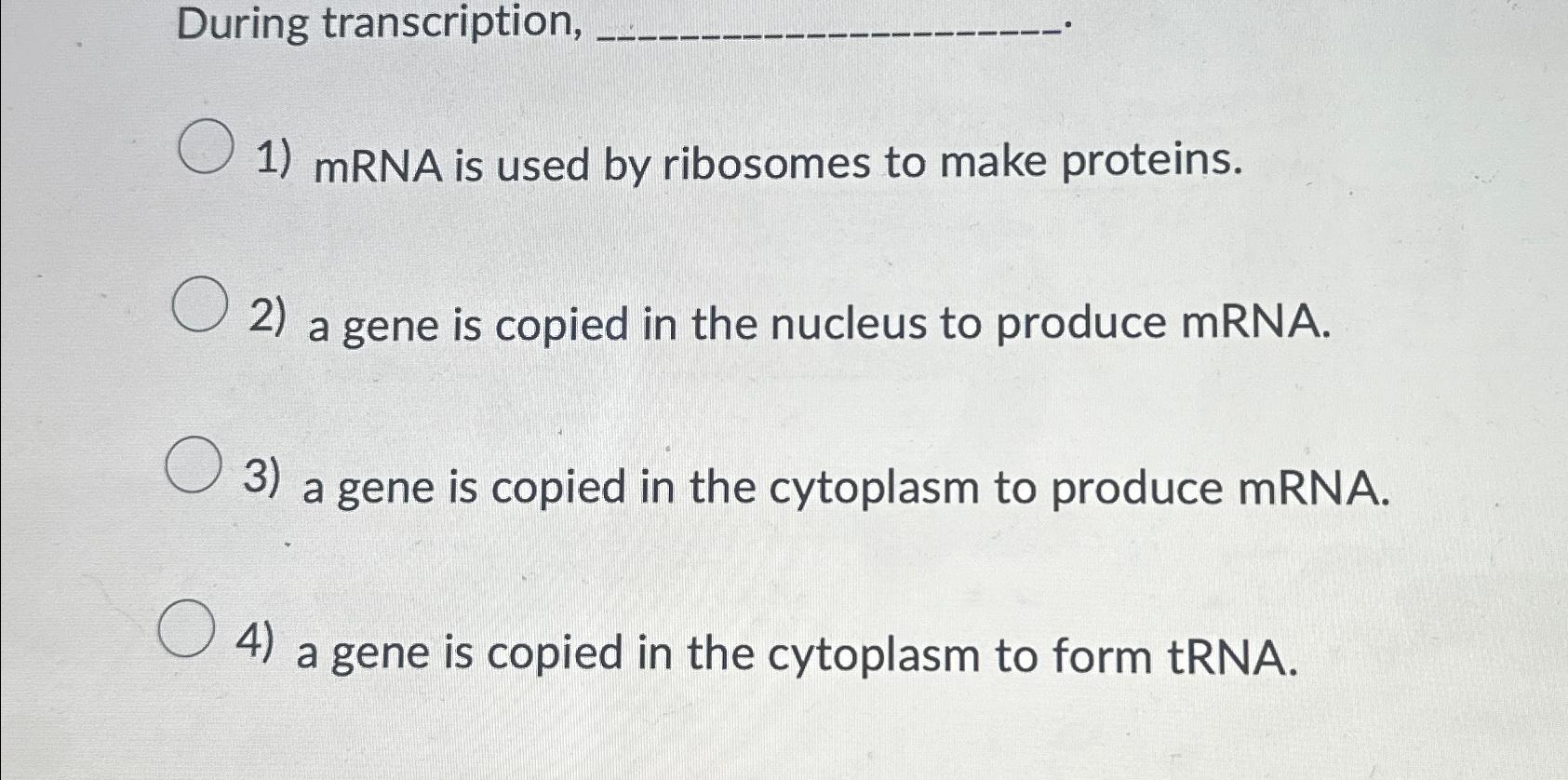 Solved During transcription,mRNA is used by ribosomes to | Chegg.com
