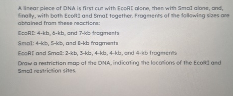 A linear piece of DNA is first cut with EcoRI alone, | Chegg.com