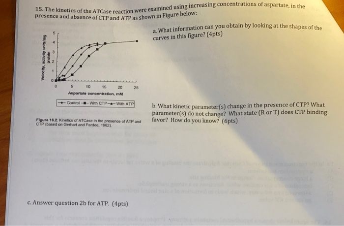 Solved 15. The kinetics of the ATCase reaction were examined | Chegg.com