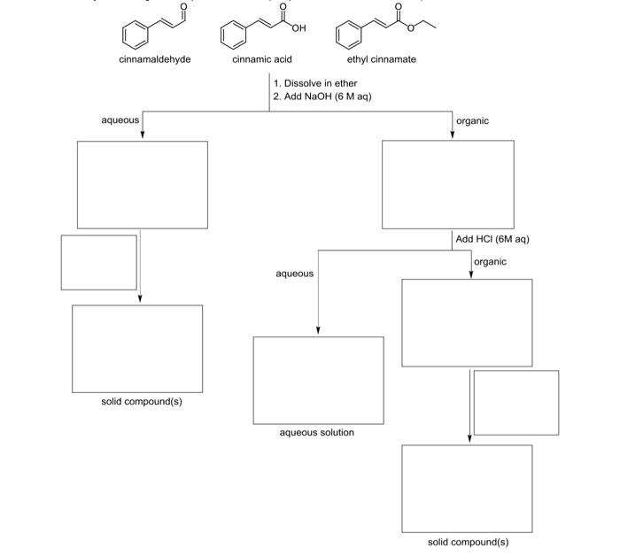 Solved OH cinnamaldehyde cinnamic acid ethyl cinnamate 1. | Chegg.com