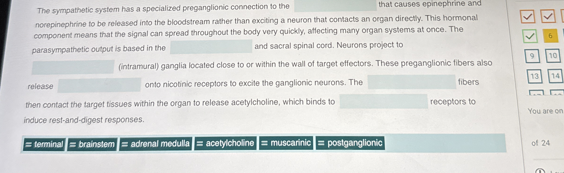 [Solved]: The sympathetic system has a specialized pregang