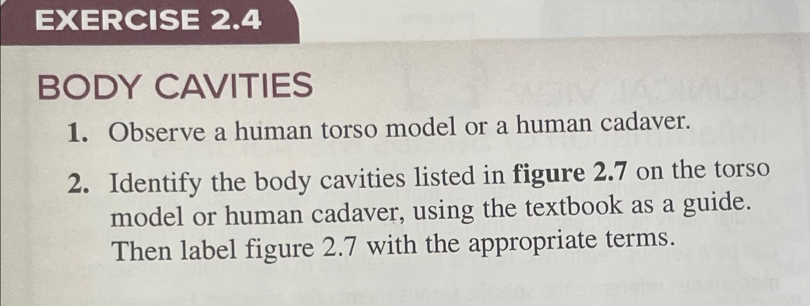Solved EXERCISE 2.4BODY CAVITIESObserve a human torso model | Chegg.com