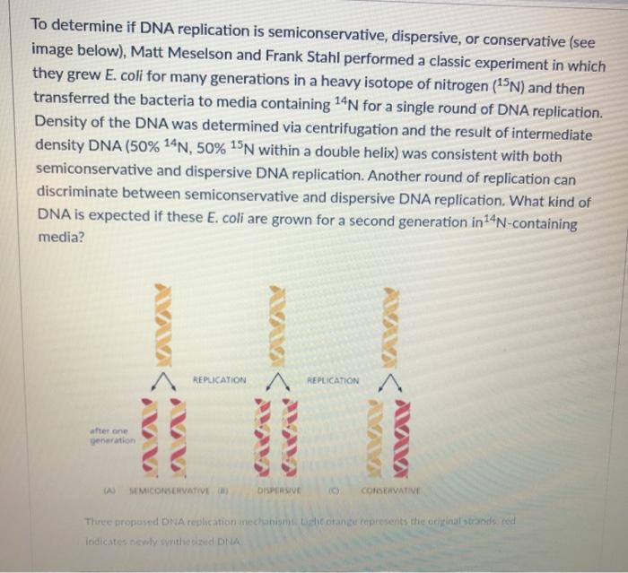 Solved To determine if DNA replication is semiconservative, | Chegg.com