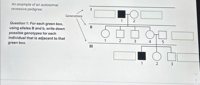 Solved An example of an autosomal recessive pedigree: | Chegg.com