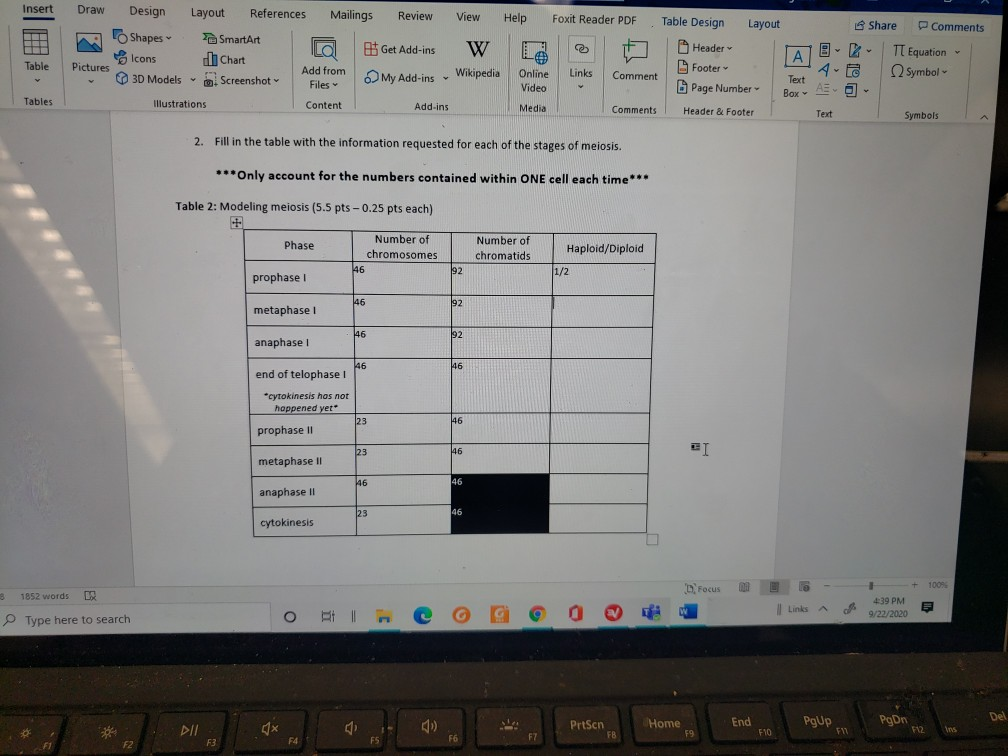 Solved Insert Draw Design Layout References Mailings Review | Chegg.com