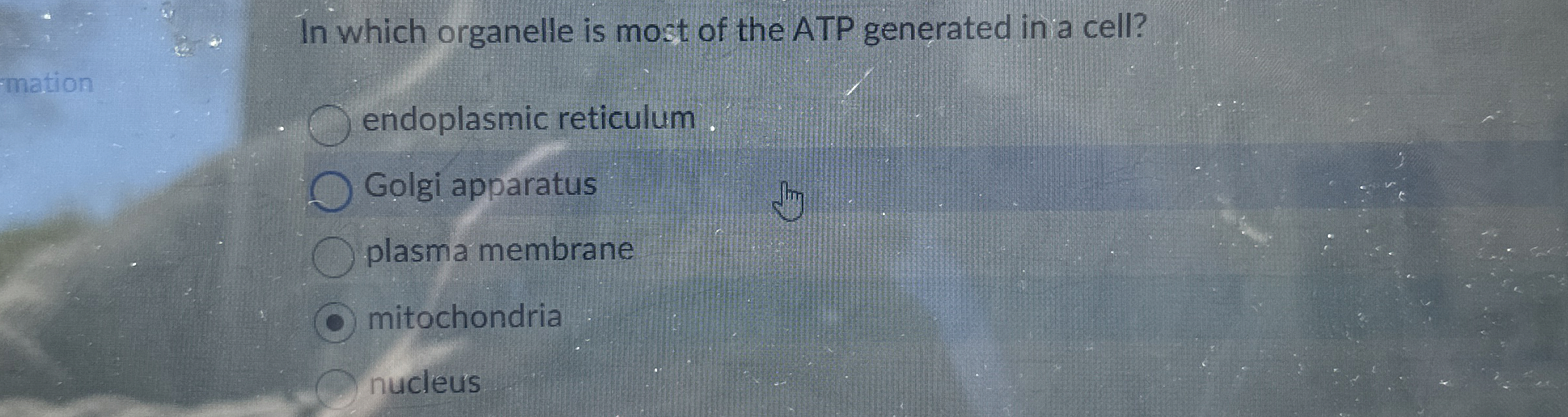 Solved In which organelle is most of the ATP generated in a | Chegg.com