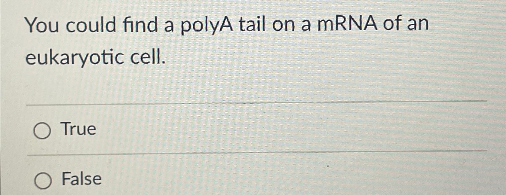 Solved You could find a polyA tail on a mRNA of an | Chegg.com