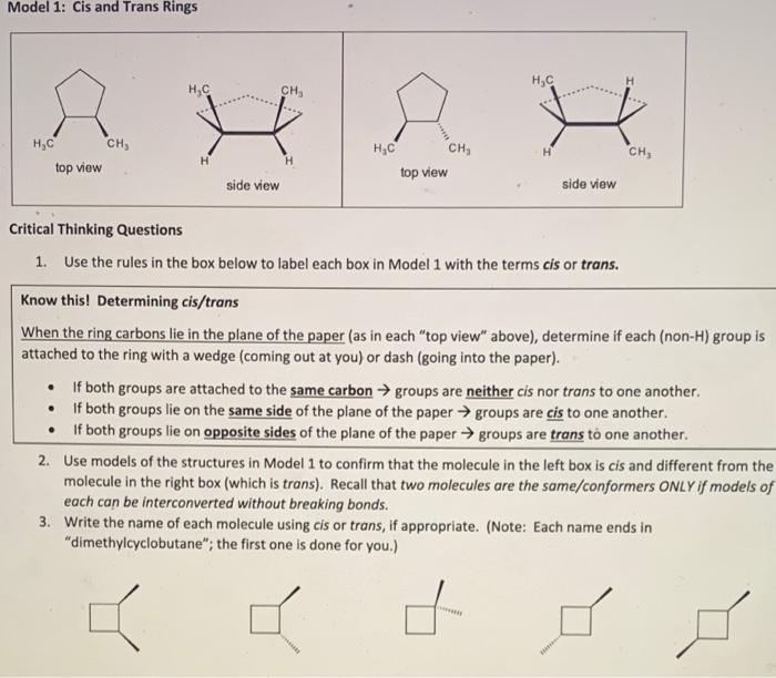 Solved Model 1: Cis and Trans Rings нс HC CH , CH, H нс CH, | Chegg.com