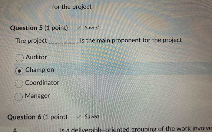 Solved The project is the main proponent for the project | Chegg.com