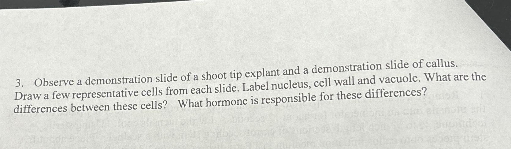 Solved Observe a demonstration slide of a shoot tip explant | Chegg.com