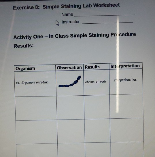 Solved Common Materials: PPE, Bunsen burner, striker, | Chegg.com
