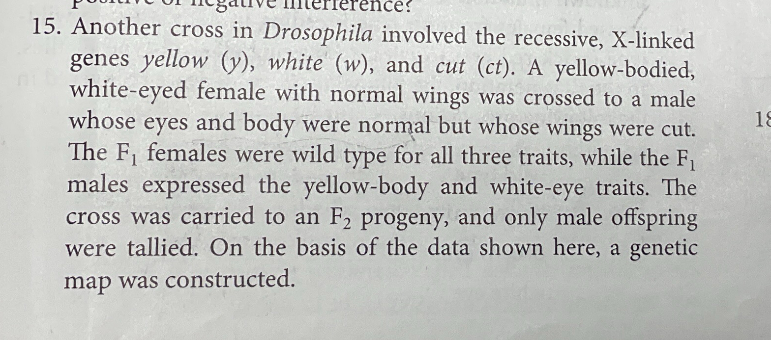 Solved Another cross in Drosophila involved the recessive, | Chegg.com