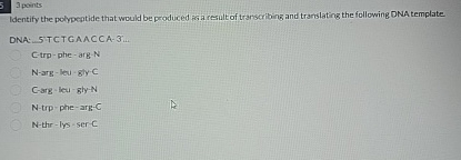 Solved 3 ﻿pointsIdentify the polypeatide that would be | Chegg.com