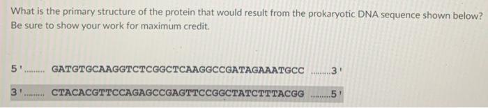 Solved What is the primary structure of the protein that | Chegg.com