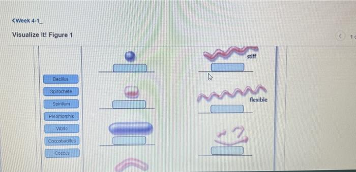 Solved Visualize it! Figure 1 | Chegg.com