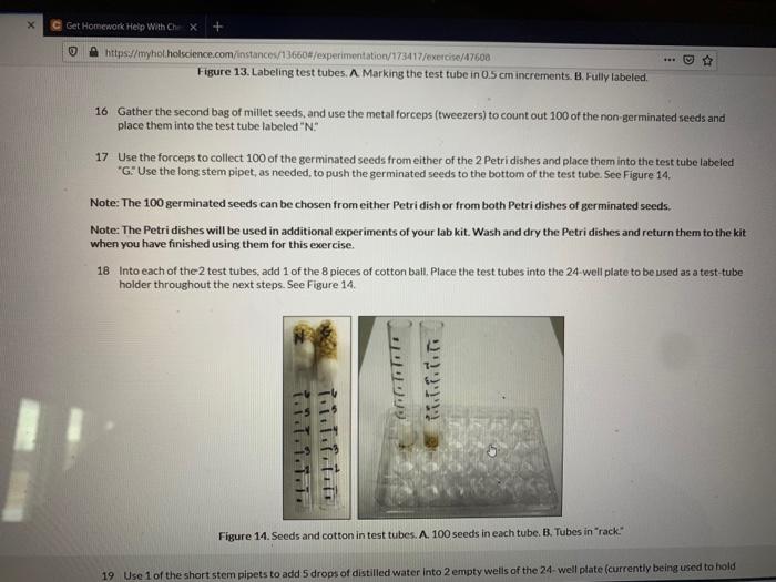 Exercise 1 Cellular Respiration In this exercise, you | Chegg.com