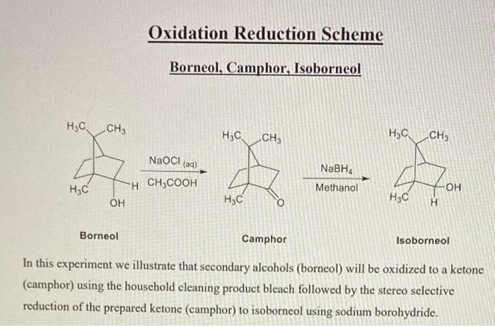 Oxidation Reduction Scheme Borneol, Camphor, | Chegg.com