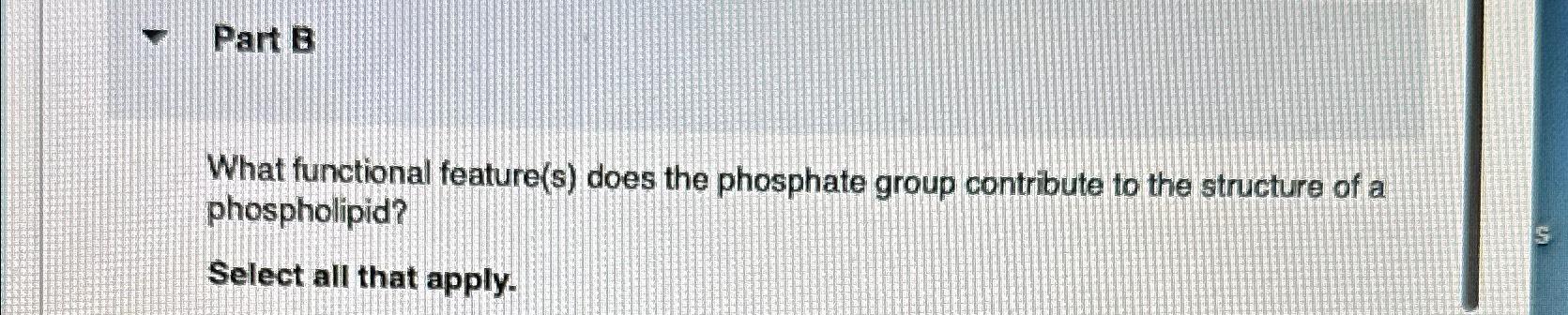 Solved Part BWhat functional feature(s) ﻿does the phosphate | Chegg.com