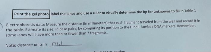 Solved label the lanes and use a ruler to visually determine | Chegg.com