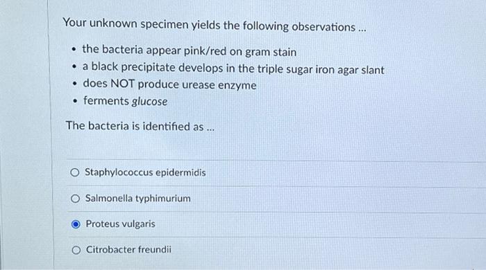 Solved Your unknown specimen yields the following | Chegg.com