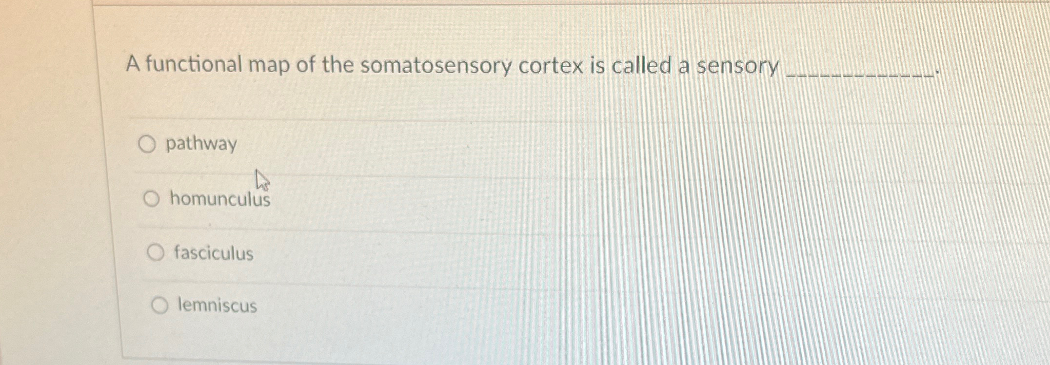 Solved A functional map of the somatosensory cortex is | Chegg.com