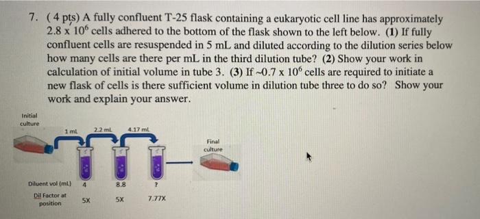 Solved 7. ( 4 pts) A fully confluent T-25 flask containing a | Chegg.com