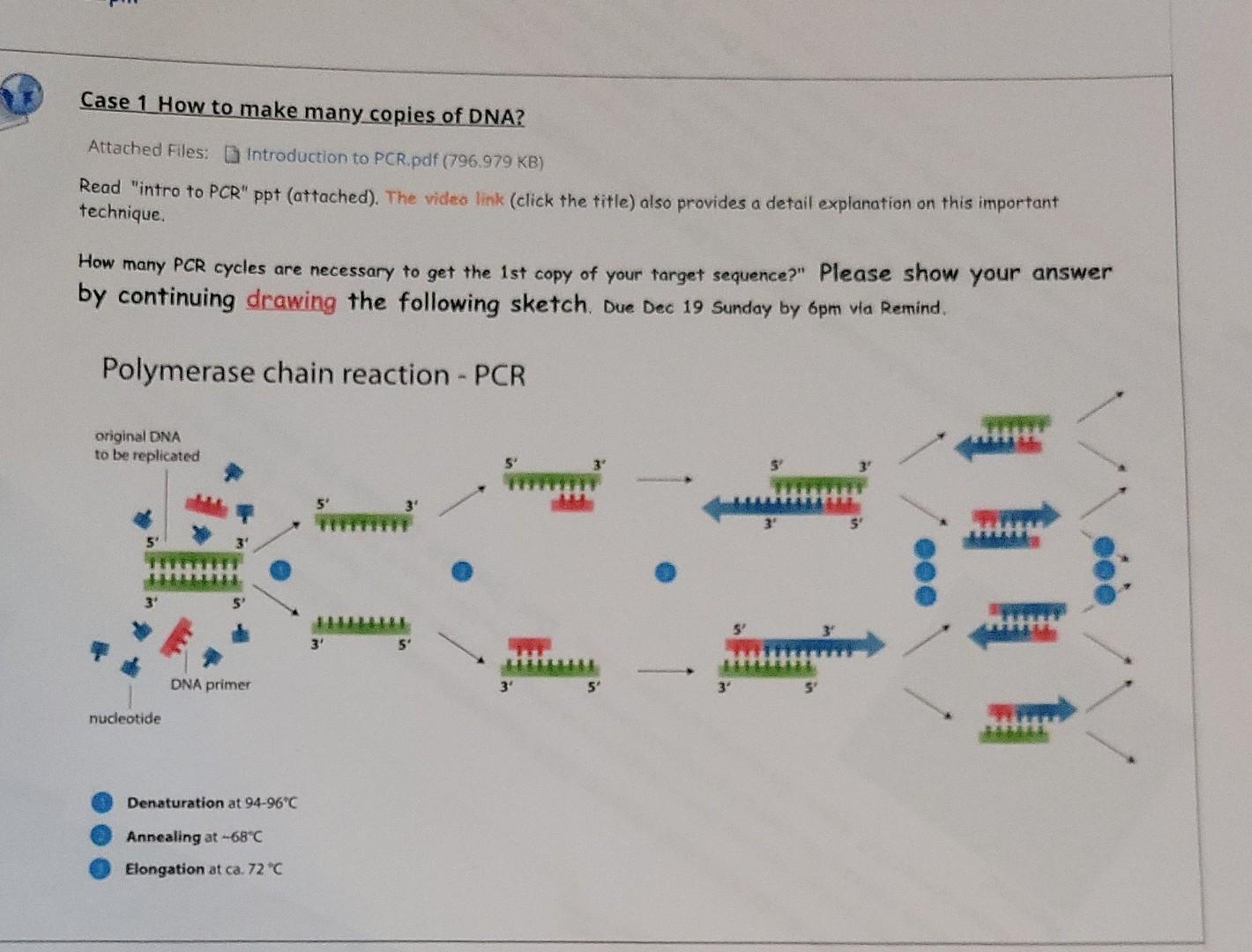 Solved Case 1 How to make many copies of DNA? Attached | Chegg.com